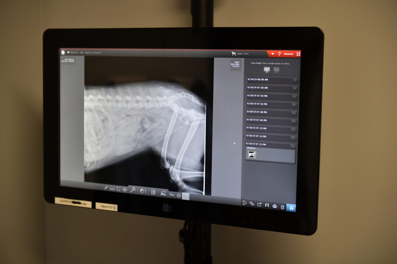 Digital Radiography and Ultrasound in Dorr, MI | Dorr Veterinary Clinic